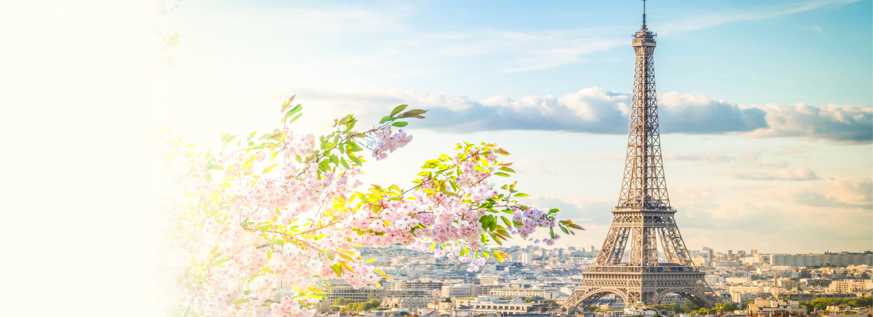 Why perfume was created in France: a fascinating story