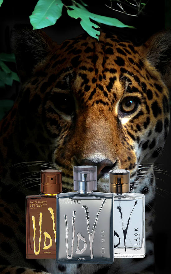 Perfume UDV For Men | Elegance | Ulric de Varens